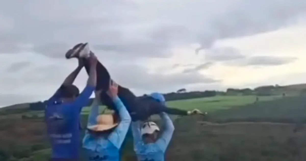 Brazilian Woman Dies in Fatal Bungee Jump After Staff Allegedly Forget ...